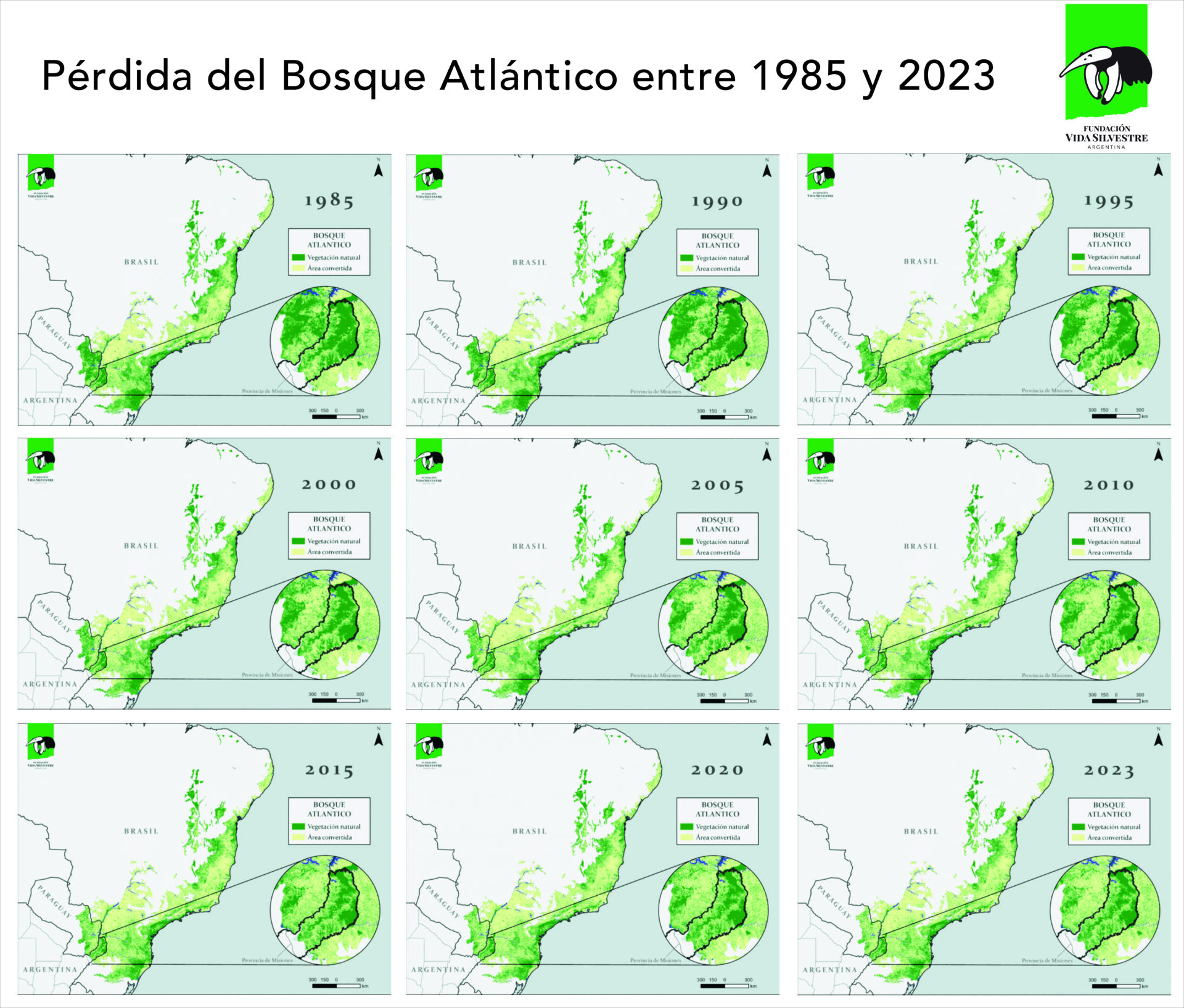 Nuevo mapa revela la alarmante pérdida del Bosque Atlántico y resalta ...
